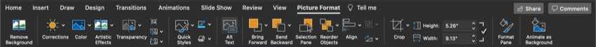 What Is Multimedia? +How to Use It in Your PowerPoint Presentations ...