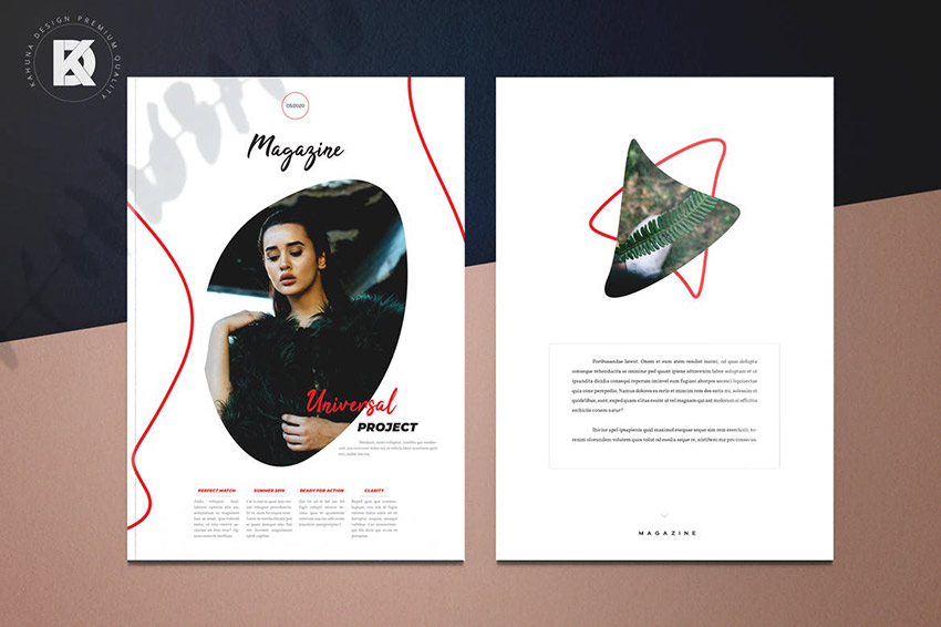 25+ Best Stylish Adobe InDesign Magazine Templates (New for 2025 ...