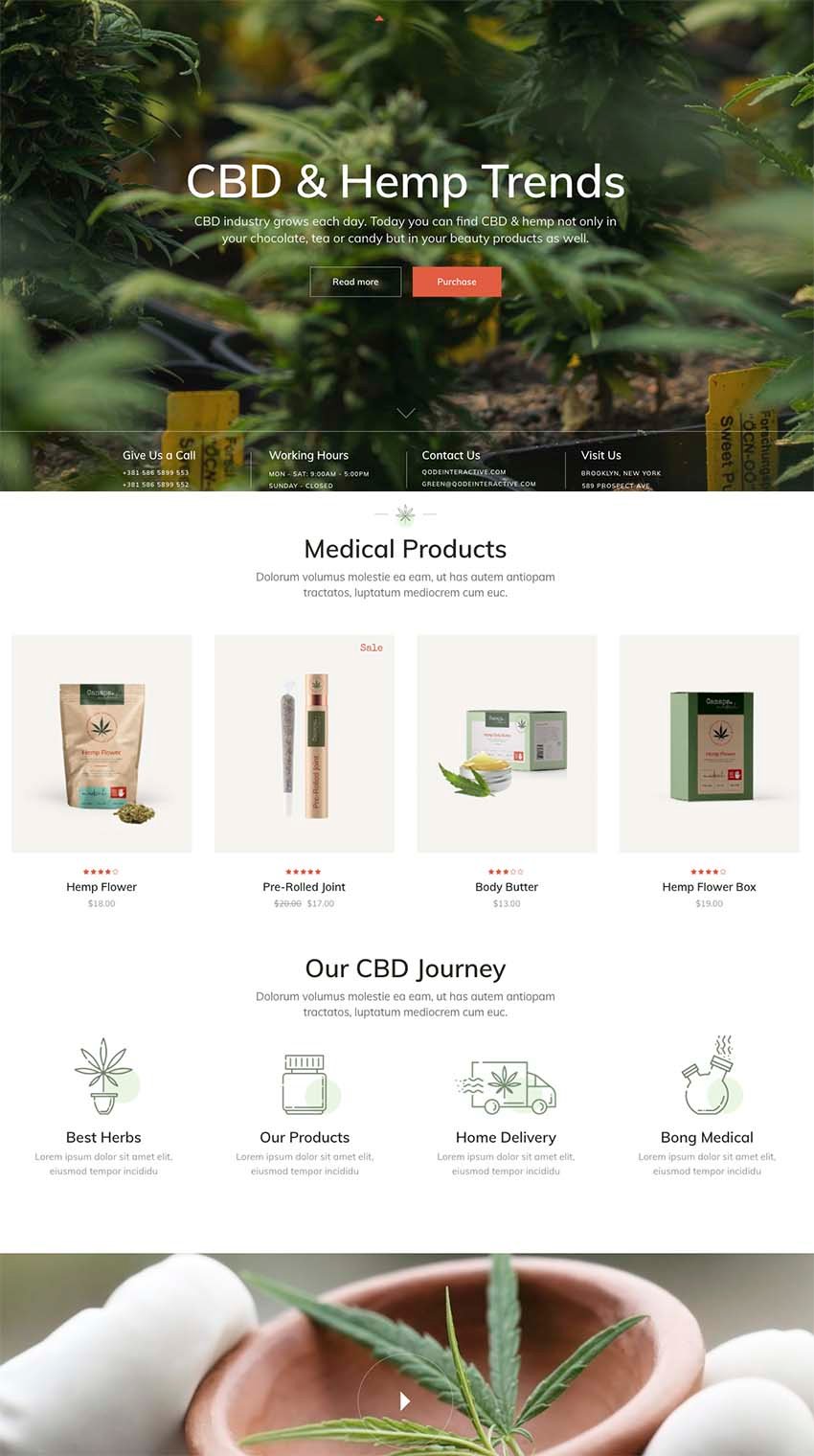 18 Best Medical Marijuana and Cannabis WordPress Themes | Envato Tuts+