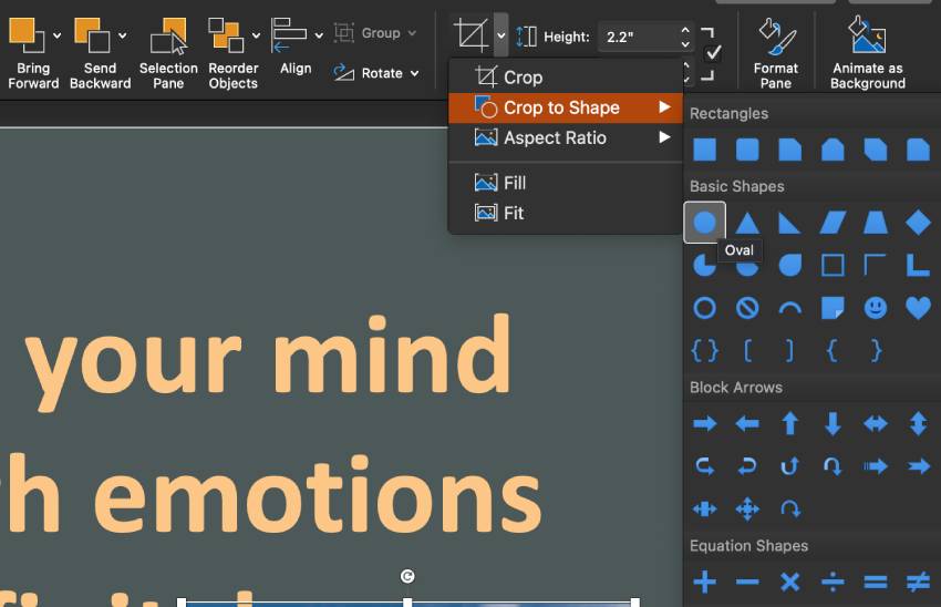 How to Make a Circle Picture in PowerPoint & Other Picture Shapes ...