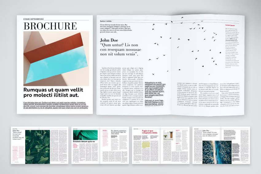 39 Best InDesign Newsletter Templates (New for 2025) | Envato Tuts+