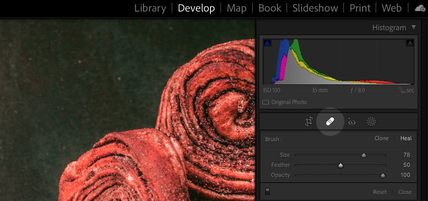 How to Use the Healing Brush to Retouch Photos in Lightroom Classic ...