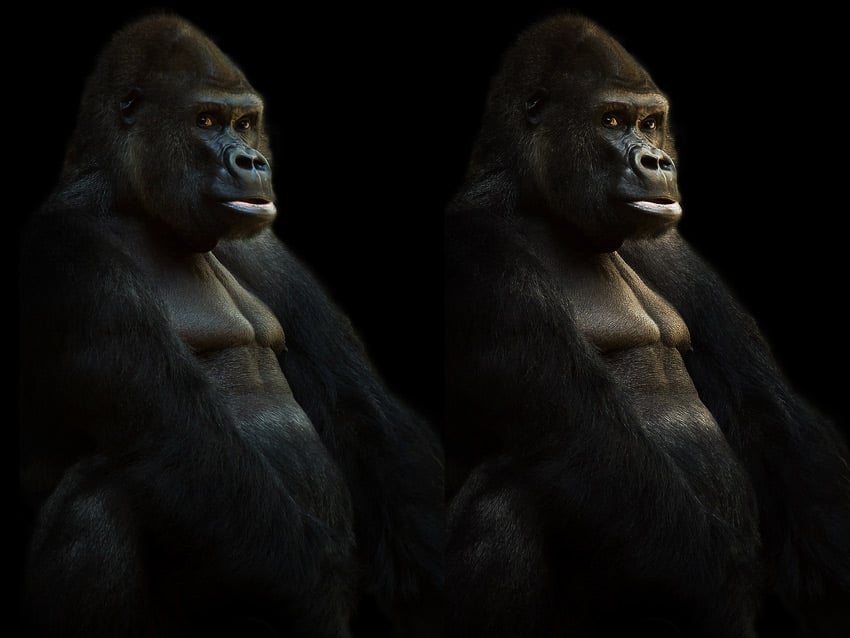 How to Create and Use Luminosity Masks in Adobe Photoshop | Envato Tuts+