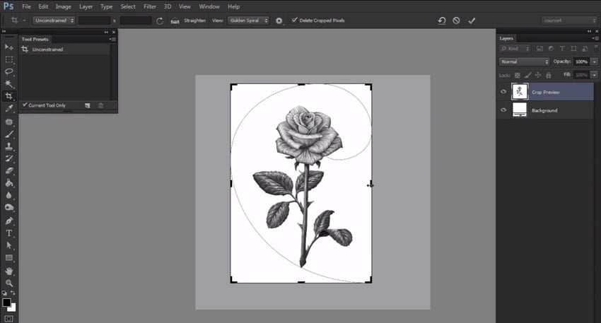 Digital Drawing for Beginners: Before You Publish Your Drawing | Envato ...