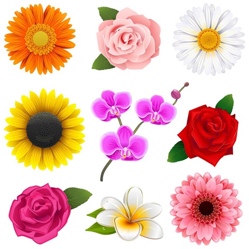 50 Amazing Floral Stock Images, Templates, and Design Elements | Envato ...