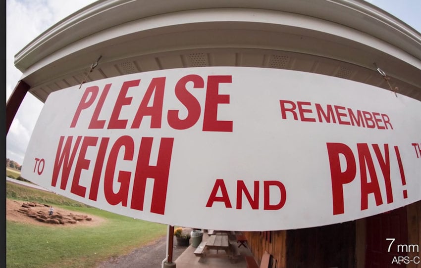 How to Use Fisheye Lenses for Photography | Envato Tuts+