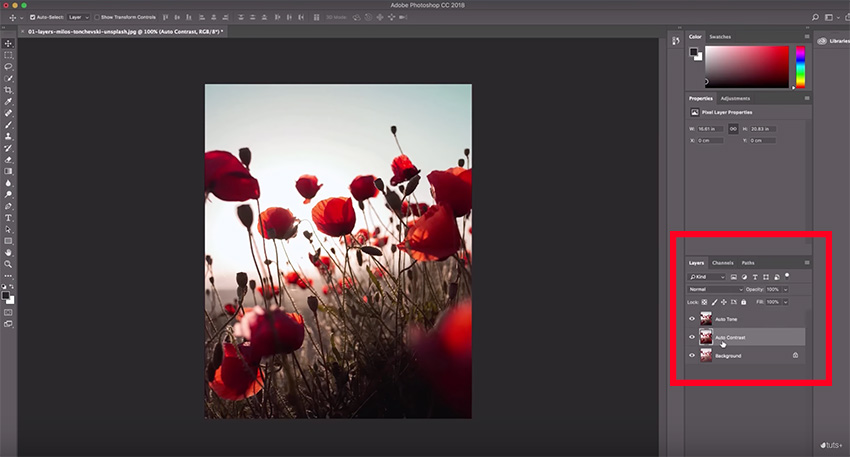 Adobe Photoshop for Beginners | Envato Tuts+