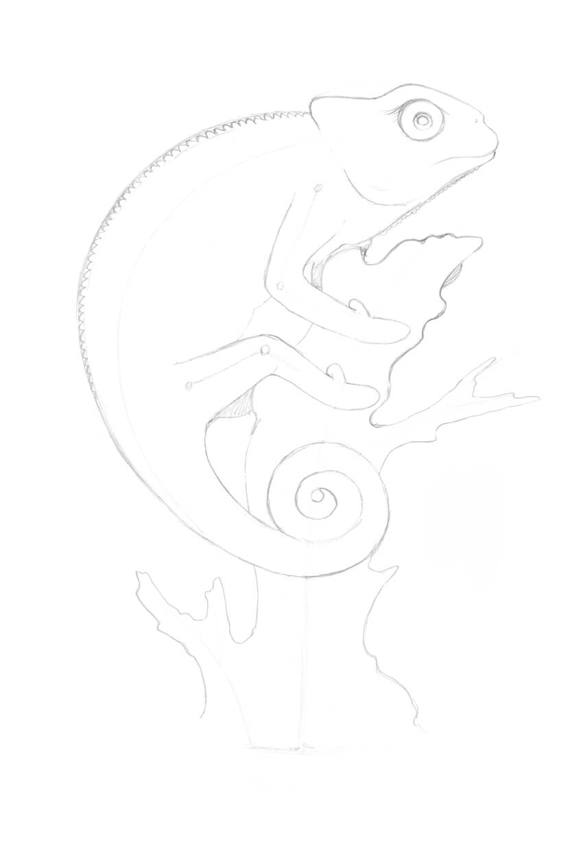 How to Draw a Lizard With Ink Liners | Envato Tuts+