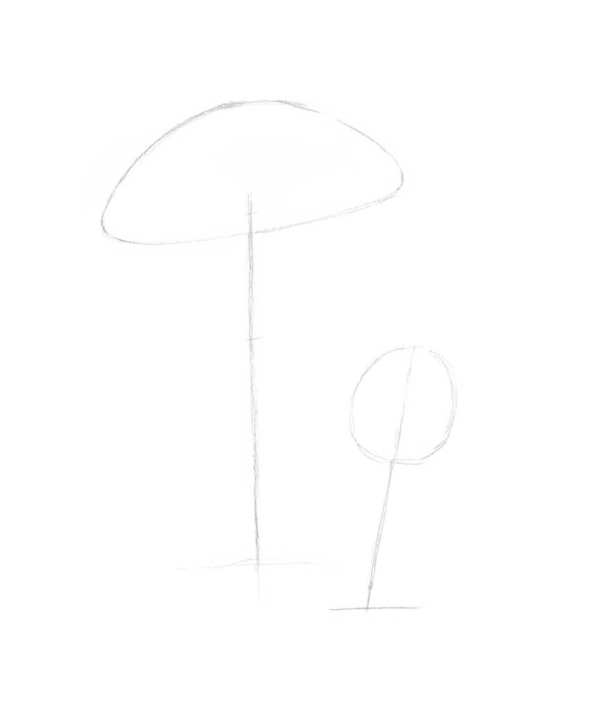 Cómo Dibujar Una Seta | Envato Tuts+