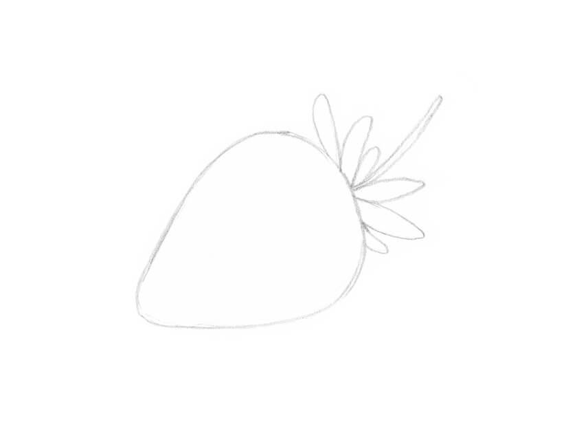 How to Draw 10 Different Varieties of Berry | Envato Tuts+