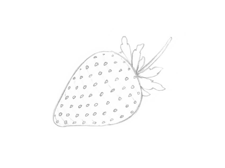 How to Draw 10 Different Varieties of Berry | Envato Tuts+