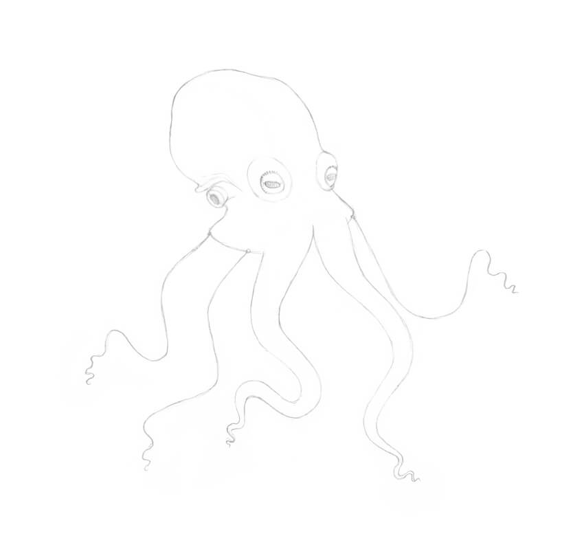 How to Draw an Octopus Step by Step | Envato Tuts+
