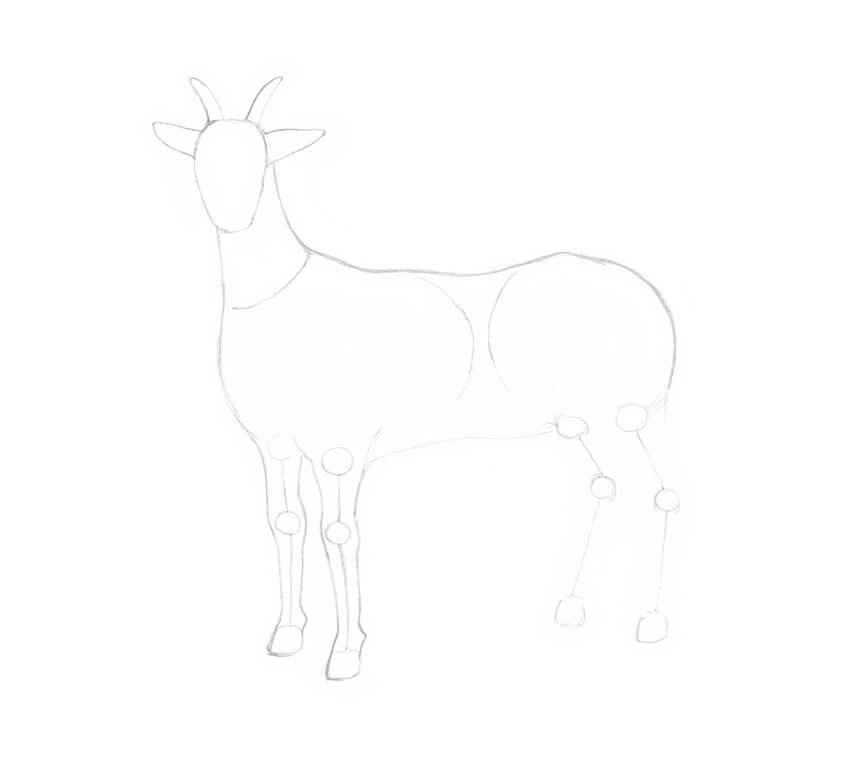 How to Draw a Goat Step by Step | Envato Tuts+