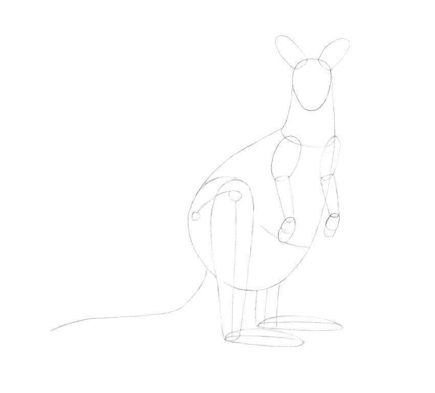 How to Draw a Kangaroo | Envato Tuts+