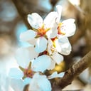 The Five Core Components of UX | Envato Tuts+