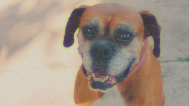 How to Create the VHS Look and VHS-Style Transitions in After Effects ...