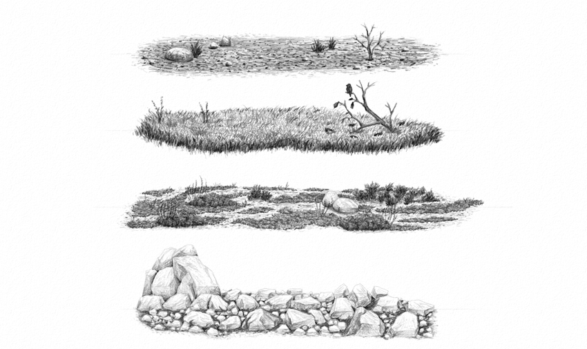 How to Draw Grass, Ground, and Rocks | Envato Tuts+