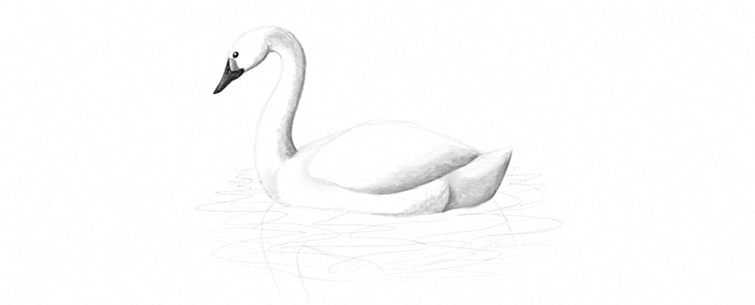 How to Draw Water in Nature | Envato Tuts+