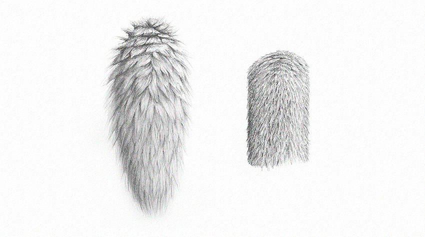 How to Draw Fur | Envato Tuts+