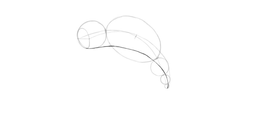 How to Draw a Dolphin Step by Step | Envato Tuts+