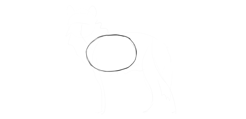 How to Draw a Wolf Step by Step | Envato Tuts+