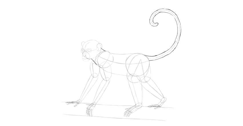 Cómo Dibujar un Mono Paso a Paso