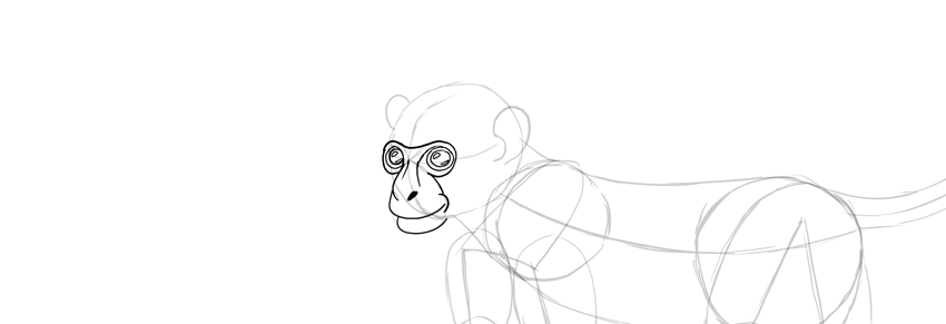 Cómo Dibujar un Mono Paso a Paso