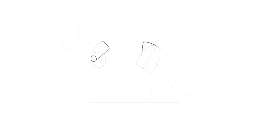How to Draw a Fox Step by Step | Envato Tuts+