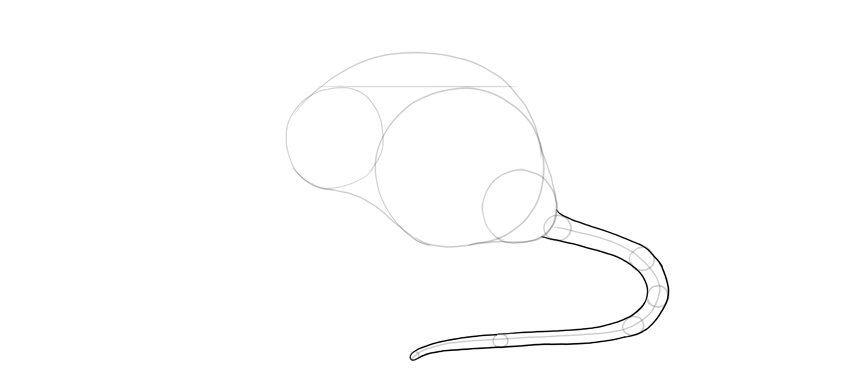 How to Draw a Mouse | Envato Tuts+