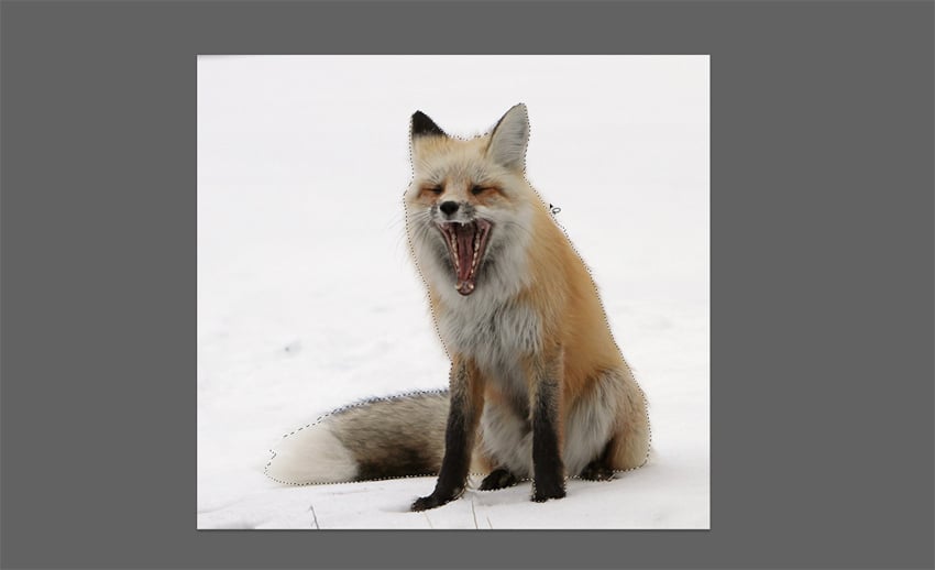 How to Create a Fun Fox and Coffee Photo Manipulation in Photoshop ...