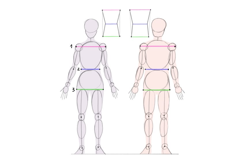 Cartoon Fundamentals: How to Draw the Female Form | Envato Tuts+