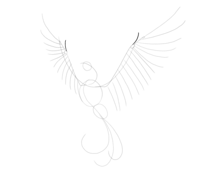 How to Draw a Phoenix Step by Step | Envato Tuts+