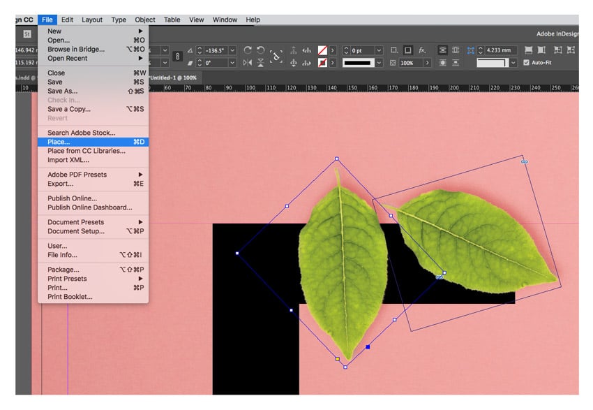 How to Create a 3D Botanical Letter Effect in Adobe InDesign | Envato Tuts+