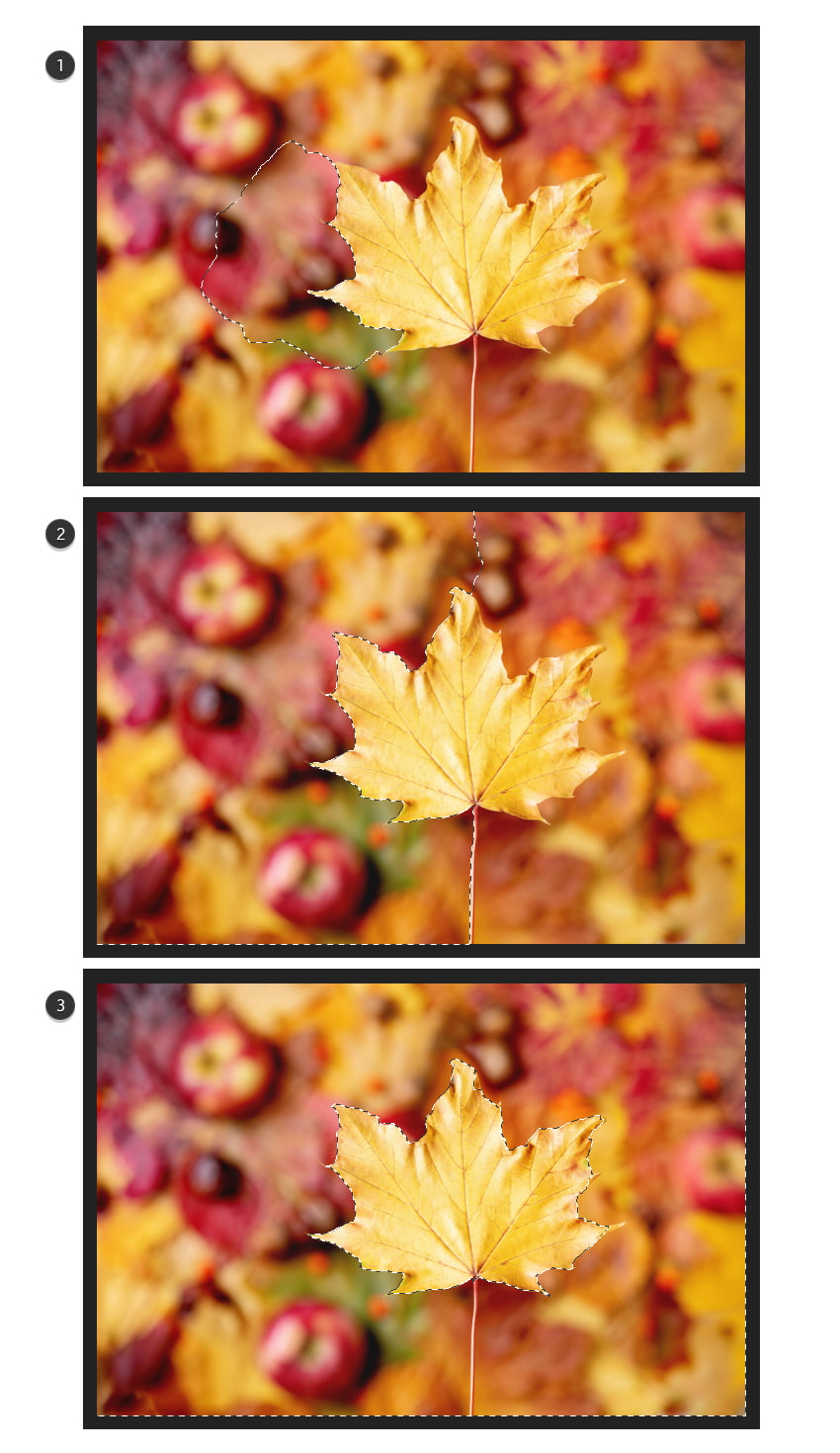 How to remove a background in Affinity Designer | Envato Tuts+
