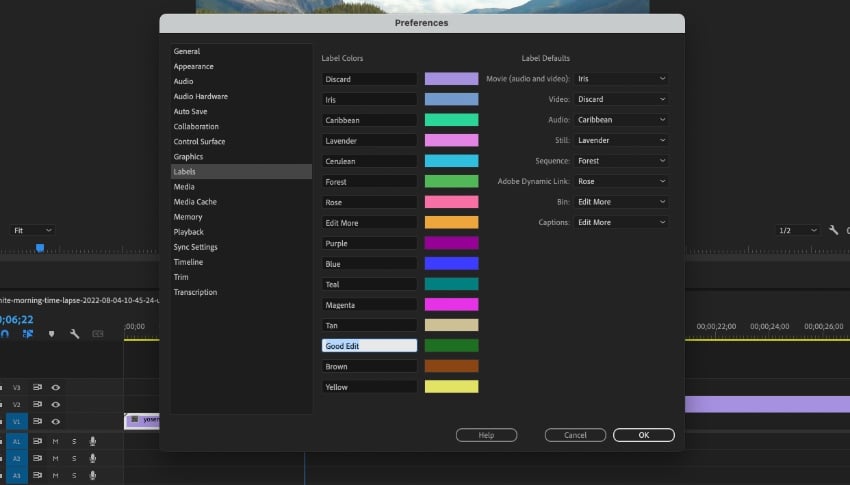 How to Label Clips in Premiere Pro (5 Quick Tips) | Envato Tuts+
