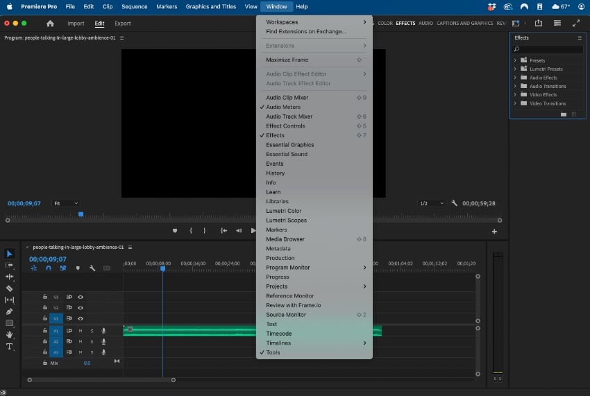 How to remove background noise from audio in Premiere Pro (2025 DeNoise ...