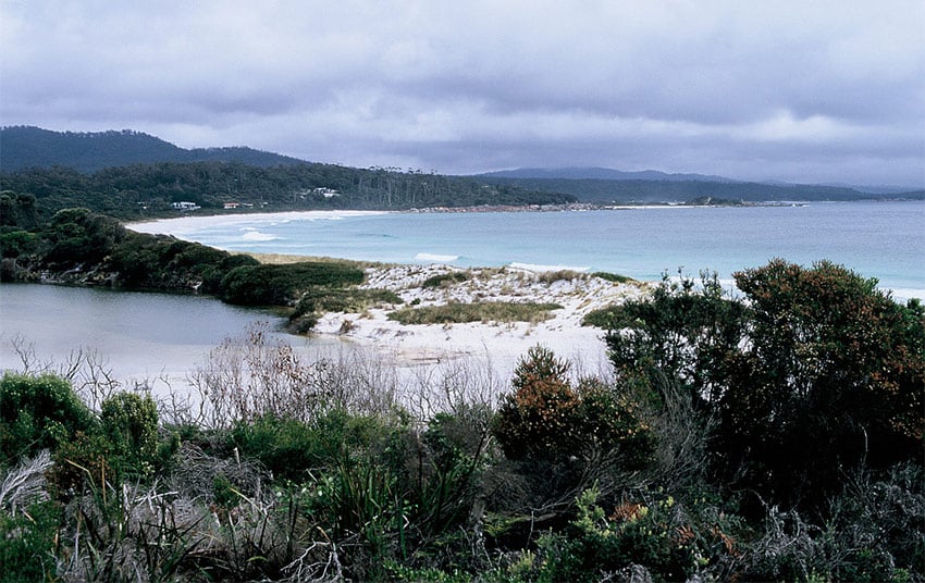 How to Build a Film Style Look in Adobe Lightroom | Envato Tuts+