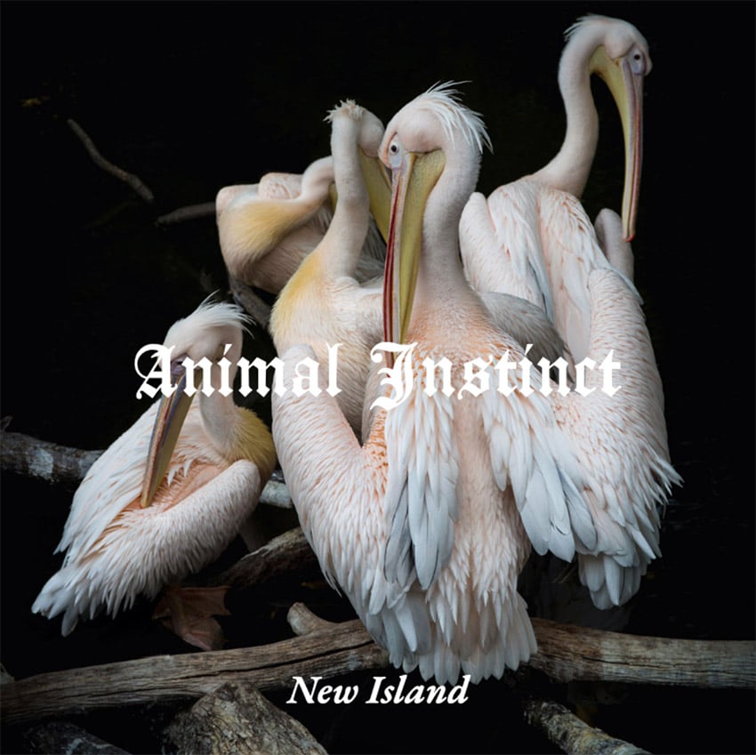 21 Best Rock Album Cover Designs (Using an Album Cover Art Maker ...