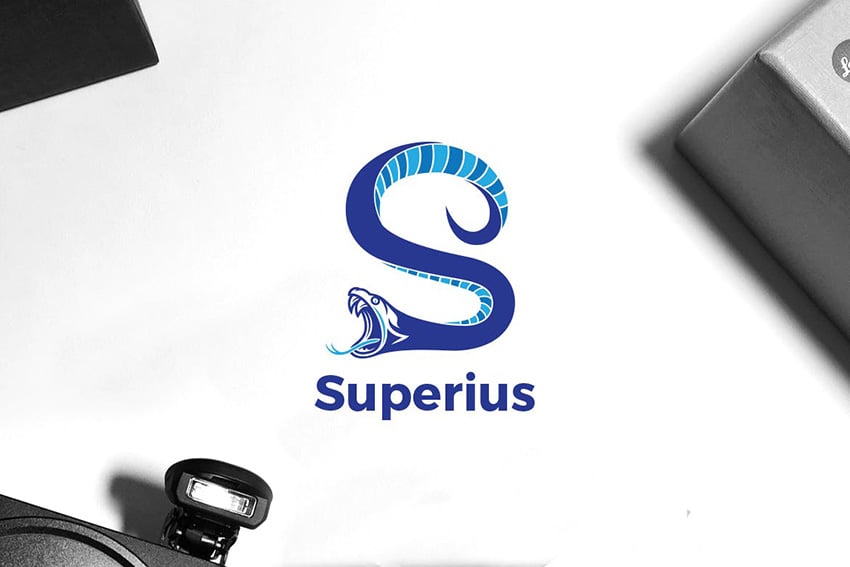 Diseños de Logos de Animales: Simbología de Animales en Marcas | Envato ...