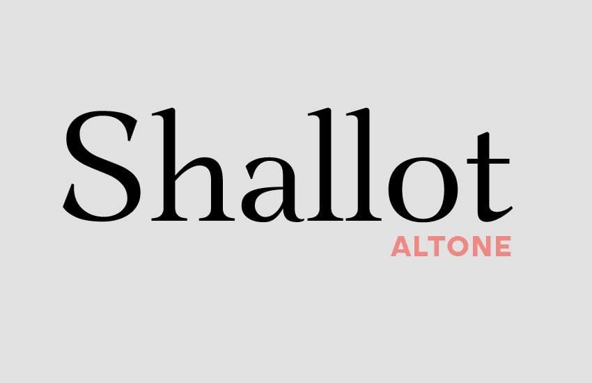 20 Best Sans Serif and Serif Font Combinations (Font Pairings)