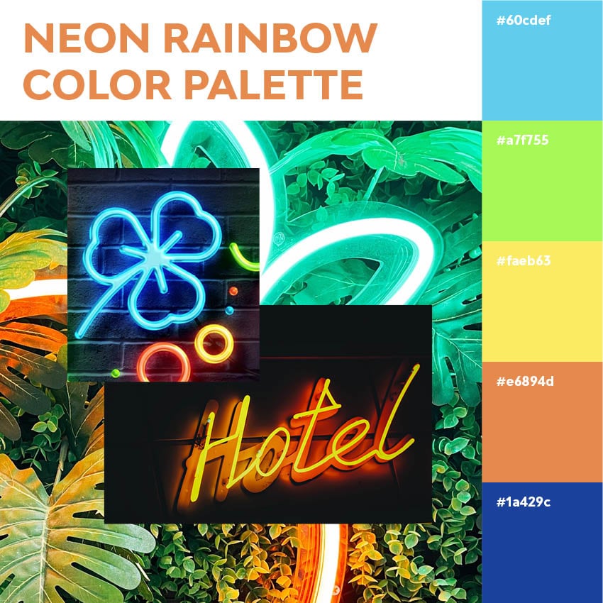 Neon Color Palette Inspiration: Trending Palettes and Templates ...