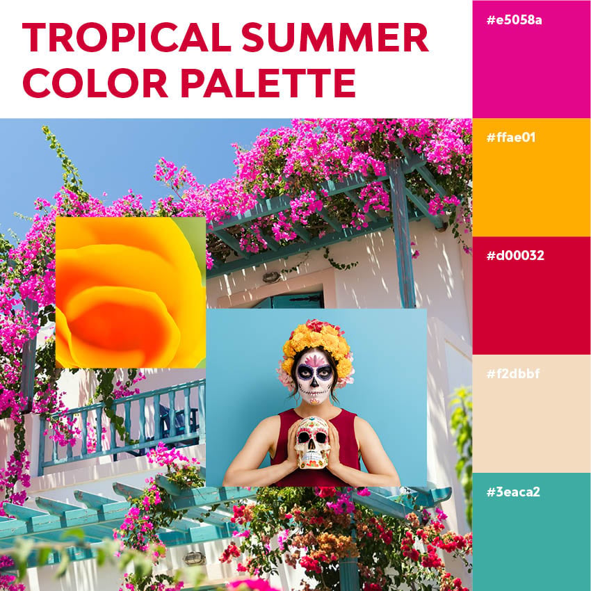 Summer Color Palette Inspiration: Trending Palettes and More | Envato Tuts+