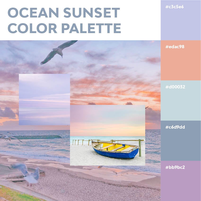 Sunset Color Palette Inspiration: Trending Palettes and Templates ...