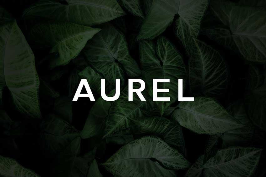 21 Best Neo-Grotesque Fonts to Download | Envato Tuts+