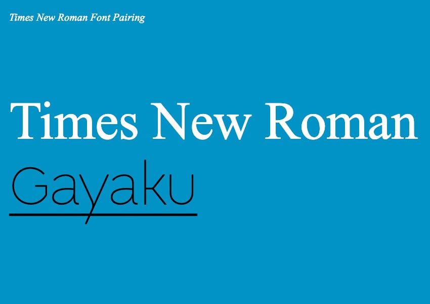 15 Best Fonts to Pair with Times New Roman | Envato Tuts+
