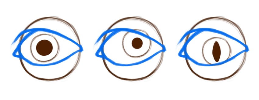 How to Draw Cartoon Eyes | Envato Tuts+