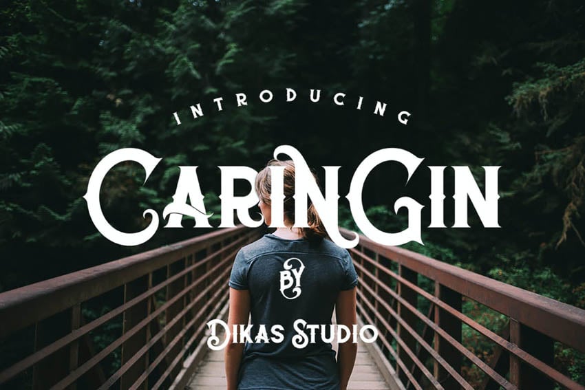 32 Best Modern Serif Fonts (Bold, Clean, & Elegant) | Envato Tuts+