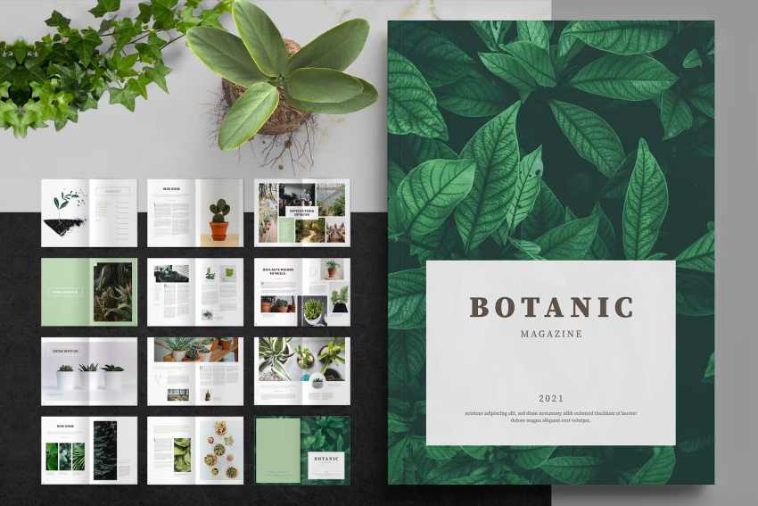 Top Magazine Templates With Creative Print Layout Designs | Envato Tuts+