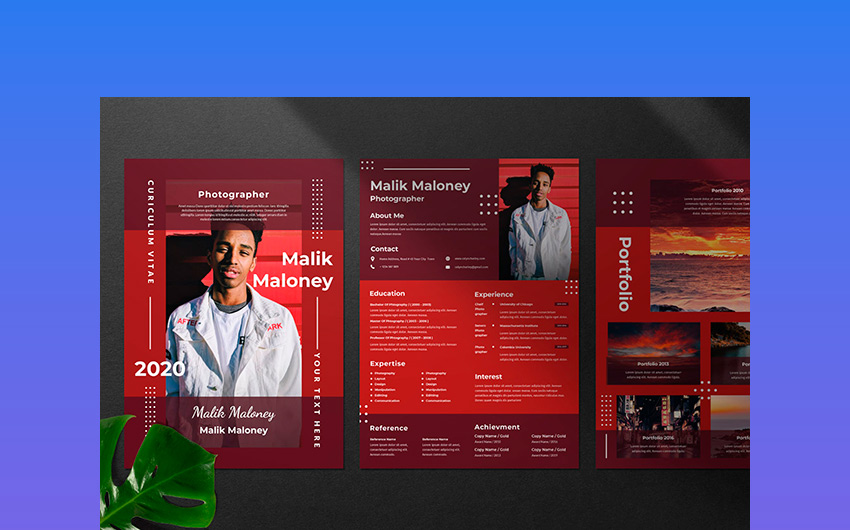 39+ Best Photoshop (PSD) Resume CV Templates (Photo Formats)