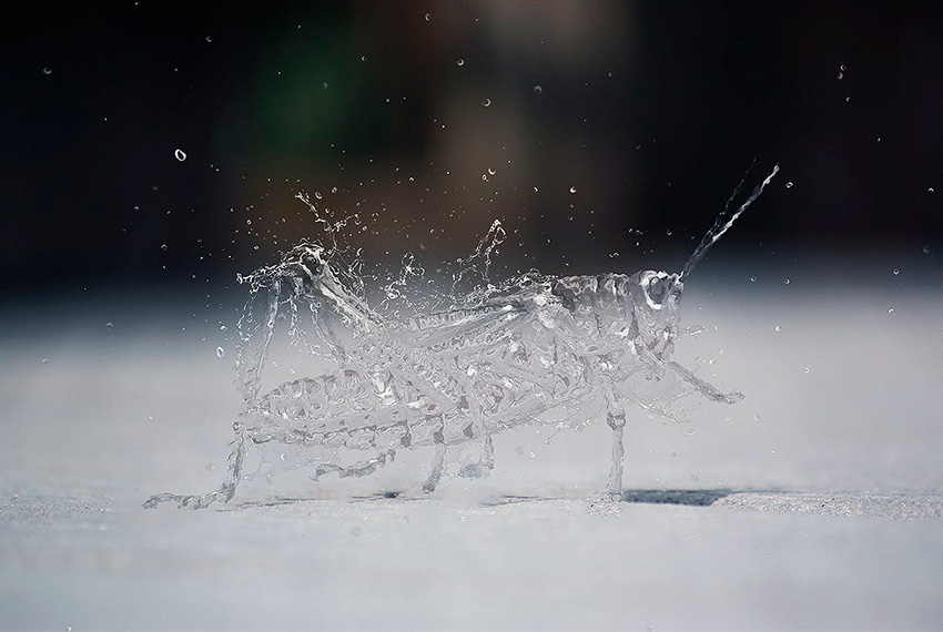 How to Create a Surreal Water Photo Manipulation in Photoshop | Envato ...